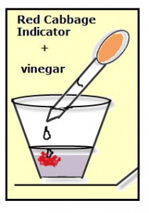 Acid/Base Indicators - VanCleave's Science Fun